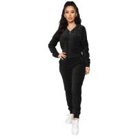 China High Quality Velvet Custom Zip Hoodie Joggers Two Piece Velour Tracksuit Women for sale
