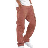 China Multi Pocket Cargo Pants for Men Custom Hiking Work Pants for sale