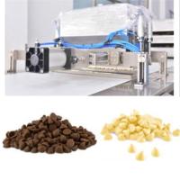 China Servo Motor 50kg/H Chocolate Chip Making Machine for sale