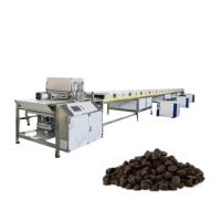 China 1000mm Chocolate Chip Making Machine for sale