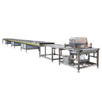 China 1000mm Chocolate Chip Making Machine for sale