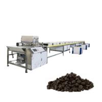 China 200kg/H Copeland Chocolate Chip Making Machine for sale