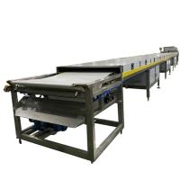 China 200kg/H Copeland Chocolate Chip Making Machine for sale