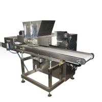 China Semi Automatic Servo Motor One Shot Chocolate Depositor for sale