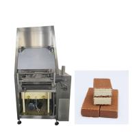 China Stainless Steel 100kg Chocolate Enrobing Machine for sale