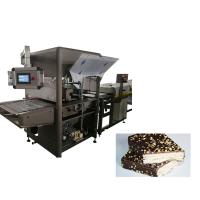 China Stainless Steel Chocolate Enrobing Machine Automatic For Food / Beverage Industry 380V/415V for sale