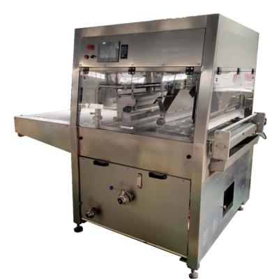 China Two Pumps Pure Chocolate Enrober 1200mm Width 500kg/Hour for sale