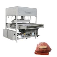 China Double Coating 500kg/H Chocolate Enrobing Machine for sale