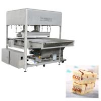 China Copeland 304SS Chocolate Enrobing Machine for sale