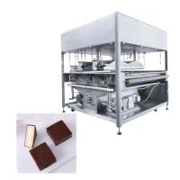 China 200kg/H 304SS Chocolate Enrobing Machine for sale