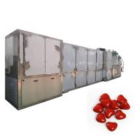 China Mould Roller 300kg Chocolate Bean Production Line for sale