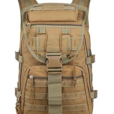 China Waterproof Travel Rucksack Sport Backpack Multifunctional With Adjustable Strap for sale