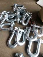 China Aerial Cable Stainless Steel D Shackle Heavy Duty 5mm for sale