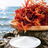 China Kappa Carrageenan Powder for Sausage & Ham | Water Retention Meat Additive Yizhi Konjac for sale