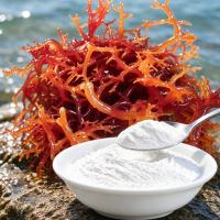 China Kappa Carrageenan E407 for Ice Cream, Food Grade Seaweed Stabilizer for sale