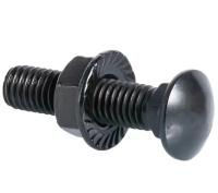 China Customized Non Standard Stainless Steel Carriage Bolt Carriage Bolts for Fastening for sale