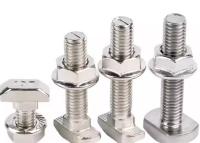 China Strength DIN Standard Customized Thread Pitch Carbon Steel/Stainless Steel Bolt for sale