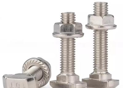 China Stainless Steel  SS304 316 Bolts T Head Bolt/T Type Bolt with Customized Thread Pitch for sale
