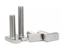 China Stainless Steel  SS304 316 Bolts T Head Bolt/T Type Bolt with Customized Thread Pitch for sale
