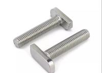 China Stainless Steel  SS304 316 Bolts T Head Bolt/T Type Bolt with Customized Thread Pitch for sale
