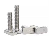 China Stainless Steel  SS304 316 Bolts T Head Bolt/T Type Bolt with Customized Thread Pitch for sale