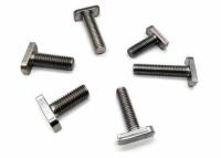 China Customized Stainless Steel M6 M8 M10 T Head Bolt Parallelogram T Shaped Bolts for sale