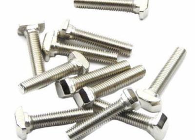 China Customized Stainless Steel M6 M8 M10 T Head Bolt Parallelogram T Shaped Bolts for sale