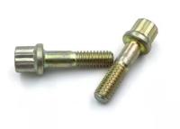 China Titanium Alloy M7 M8 12 Point Head Bolt Flange Split Rim Wheel Bolt Beadlock for Car for sale