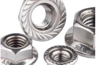 China M12 M16  Stainless steel Hexagon Flange Nuts B7 B16 A325 A307 Metal hex Flange nuts for sale