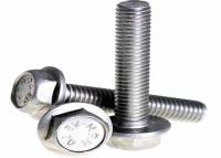 China M8 Grade 4.8 8.8 Steel Nickel Plating Hex Serrated Flange Metal Bolt With Full Thread DIN6921 for sale