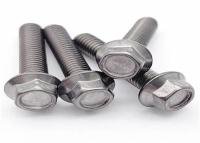 China M5 M6  Stainless Steel SUS304 SUS316 Serrated Hexagon Head Flange Metal Bolt DIN6921 for sale
