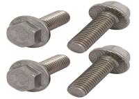 China Stainless Steel Plain SS304 SS316 Hexagon Flange Heavy  Metal Bolt With Nut  Plain DIN6921 for sale