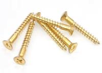 China Grade Carbon Steel 4.8 Blue White Yellow Zinc Phillips Cross Recess Countersunk CSK Head Wood Tapping Screw for sale