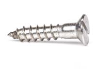 China 4mm 316L Stainless Steel Plain Finish Polish Slotted Countersunk CSK Head Wood Tapping Screw DIN97 for sale