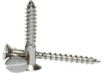 China 4mm 316L Stainless Steel Plain Finish Polish Slotted Countersunk CSK Head Wood Tapping Screw DIN97 for sale