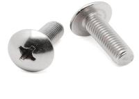 China Stainless Steel ANSI AISI 304 316 Phillips Drive Cross Recessed Truss Head Screw GB973 for sale