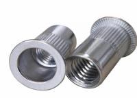 China A2 A4 Stainless Steel Thread Insert Flat Head Round Body Close End Blind Rivet Nut for sale
