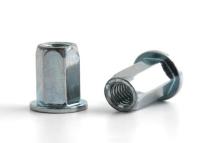 China Carbon Steel Class 4.8 Hexagon Flat Head Rivet Nut M6 Rivet Nut High Strength for sale