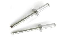 China OEM Aluminum 6061 Protruding  Big Round Flat Head Open End Blind Rivet DIN 7337 for sale