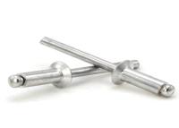 China OEM Aluminum 6061 Protruding  Big Round Flat Head Open End Blind Rivet DIN 7337 for sale