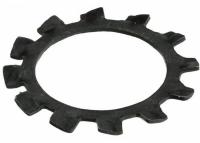 China Grade 4.8 8.8 Black Oxide Cadmium Plated Serrated Lock Washer With External Teeth DIN6798 for sale