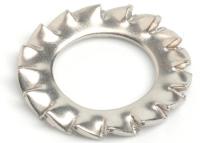 China 304 316 316L Stainless Steel Plain Finish Serrated Lock Washer With External Teeth DIN6798 for sale