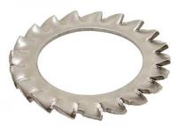 China M6  A193 18-8 Stainless Steel Plain Serrated Lock Washer With External Teeth DIN6798 for sale