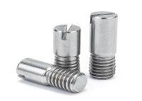 China Stainless Steel SS Stainless Steel SS External Thread Round Parallel Pin Slotted Headless Screw With Shank for sale