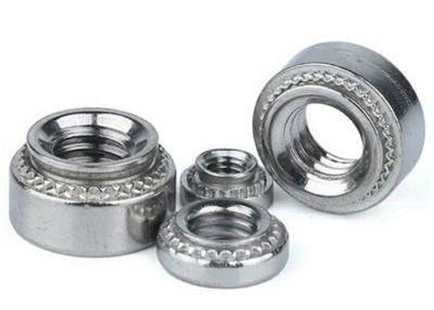 China Metric 18-8 Stainless Steel INOX Self Clinching Nut SS SUS 304 316 316L A2 A4 70 80 for sale