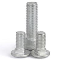 China 18-8 Stainless Steel Chrome Plated  Carriage Bolt SS SUS 304 316 316L A2 A4 70 80 DIN603 for sale