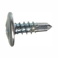China Factory Price Round Head Self Tapping Screw Stainless Steel SS 304 A2-70 A2-80 for sale