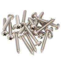 China Round Head Pan Head Tapping Screw Stainless Steel SS304 SS316 Phillips DIN7981 for sale