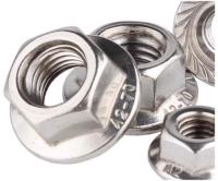 China M10 M12 Stainless Steel Hex Flange Nut SS304 316 316L Polish Plain Finish DIN6923 for sale