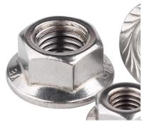 China M10 M12 Stainless Steel Hex Flange Nut SS304 316 316L Polish Plain Finish DIN6923 for sale